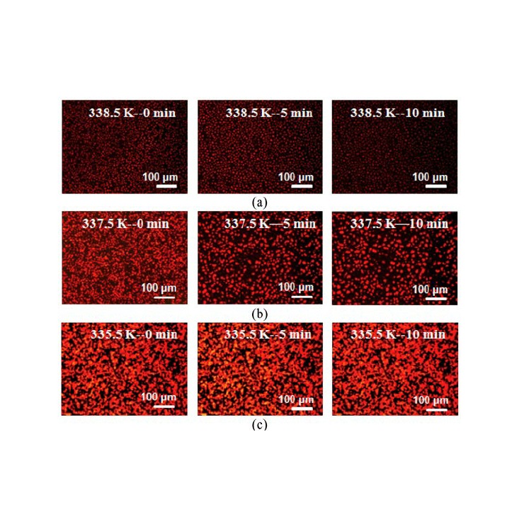 Fast Switching Blue Phase Liquid Crystals - WinGlobal Technology Inc